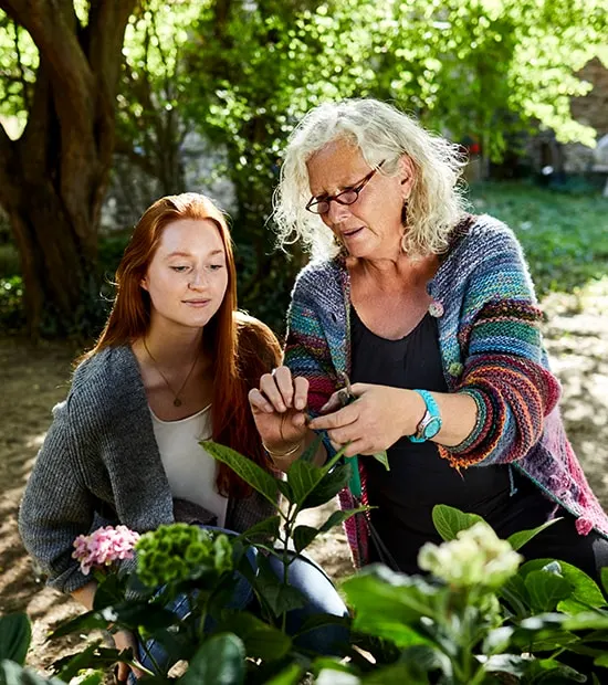 Insurance & Protection Articles | Conversationally from Ally